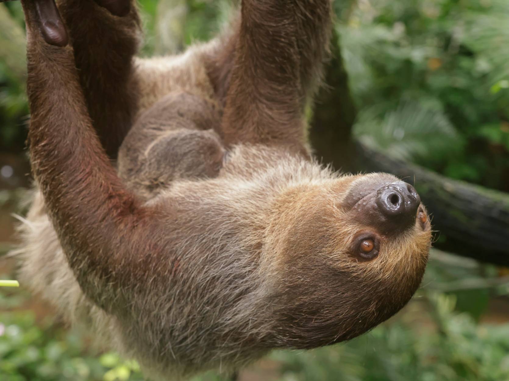Preschool Programmes - Singapore Zoo | Mandai Wildlife Reserve