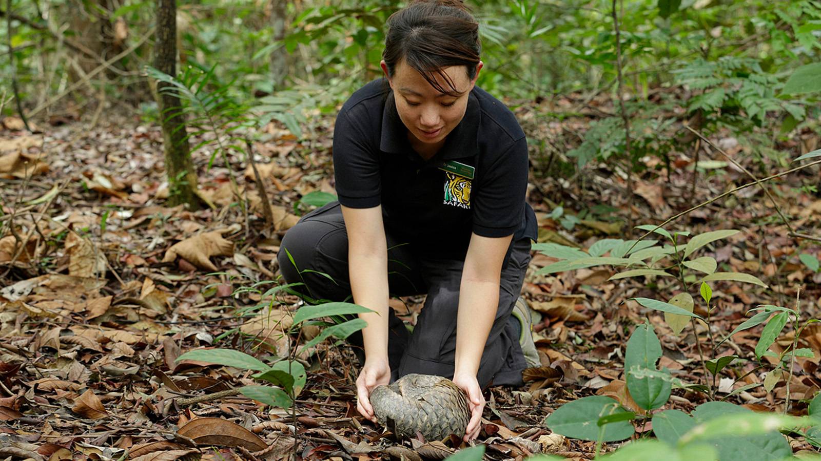 Conservation Sponsorship Programme | Mandai Wildlife Reserve