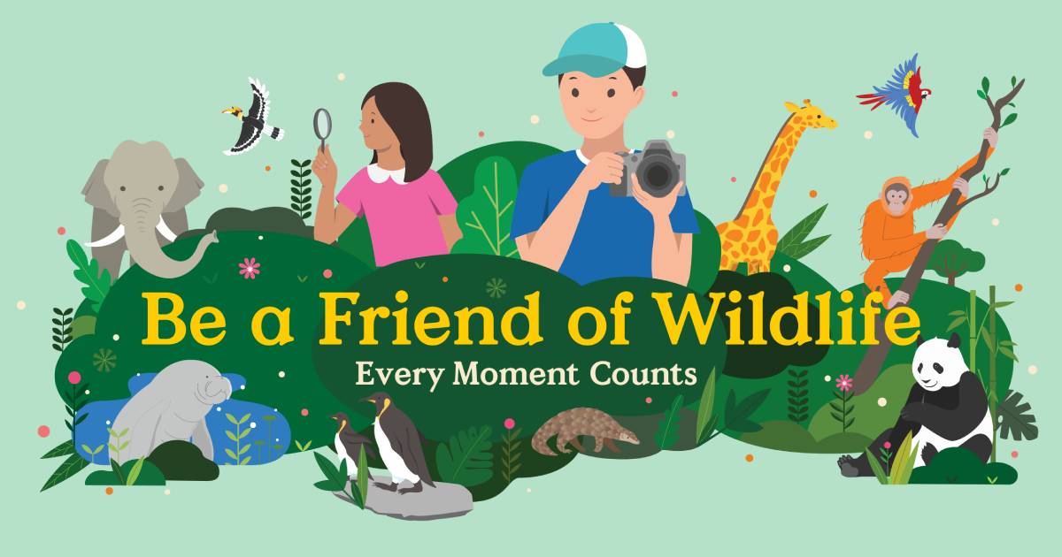 Friends of Wildlife | Mandai Wildlife Reserve